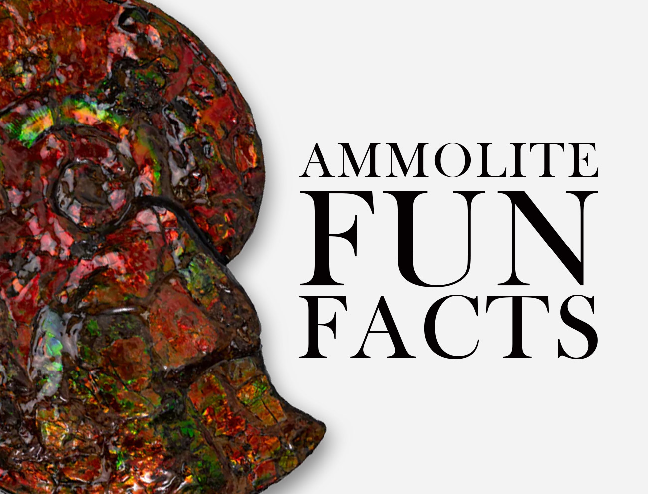 Introduction - Kaimirra