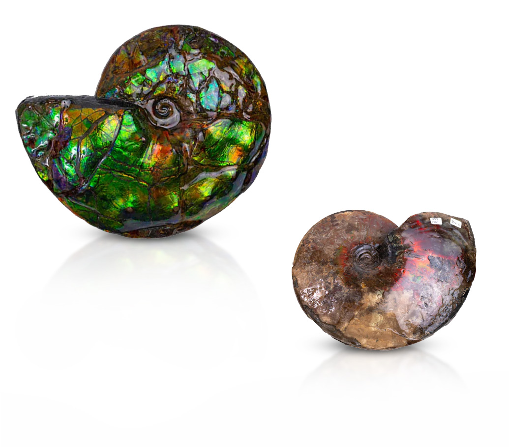 Introduction - Kaimirra